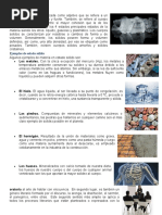 Qué es un triple en baloncesto | PDF