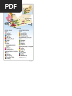 Wine Training Module | PDF | Cooking, Food & Wine