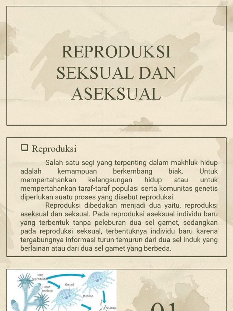 Reproduksi Seksual Dan Aseksual | PDF
