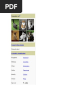 The Cat | PDF | Cats | Domesticated Animals