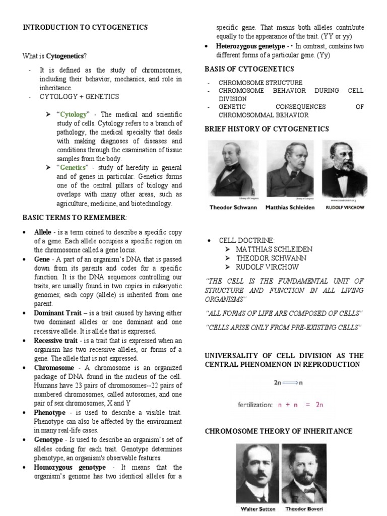 Introduction To Cytogenetics | PDF | Genetics | Allele