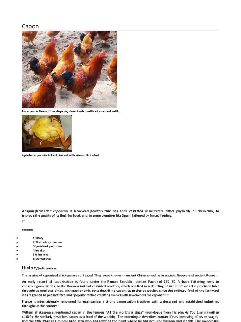 Capon: Live Capons in Hainan, China, Displaying Characteristic Small ...