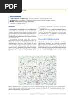 CLT8 Practice Exam With Answer Key | PDF