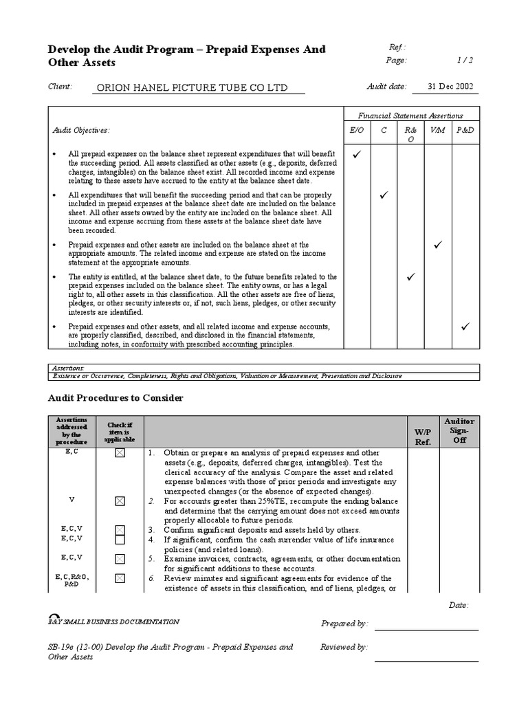 19e (12-00) Develop The Audit Program - Prepaid Expenses and Other ...
