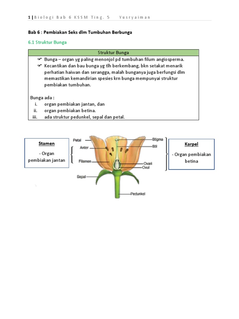 Bab 6 Bio KSSM T5 | PDF | Sains & Matematika