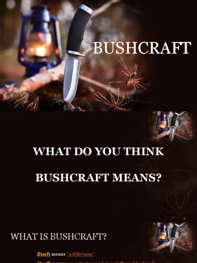 Bushcraft Essentials Guide | PDF | Knife | Compass