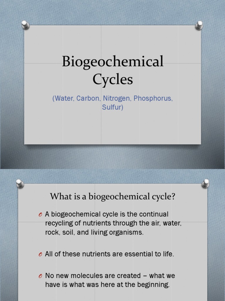 Biogeochemical Cycles: (Water, Carbon, Nitrogen, Phosphorus, Sulfur ...