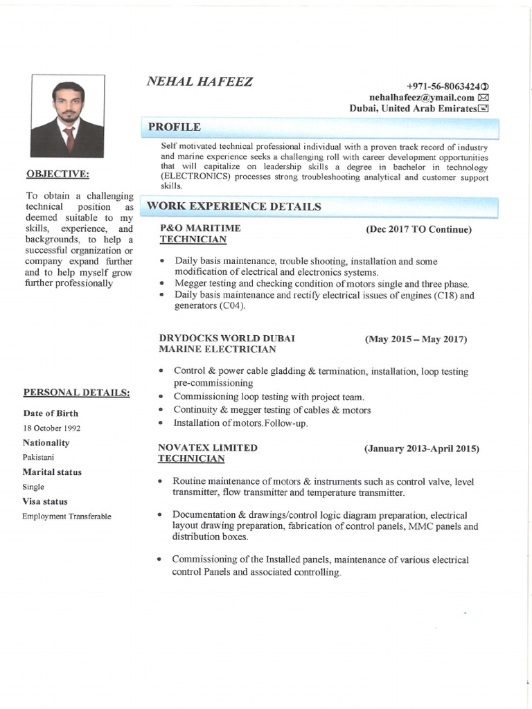 Nehal - CV | PDF