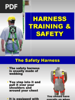 Safety Alert: Loose Harness Injury | PDF