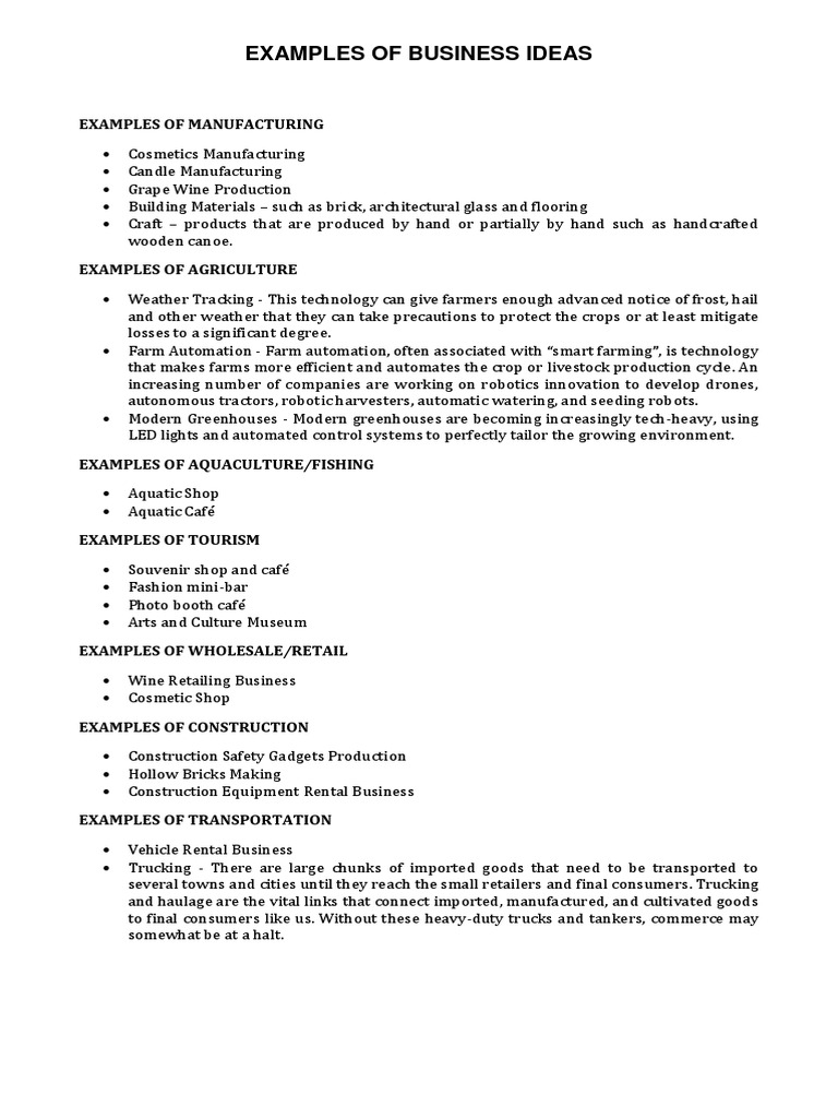 Examples of Business Ideas | PDF