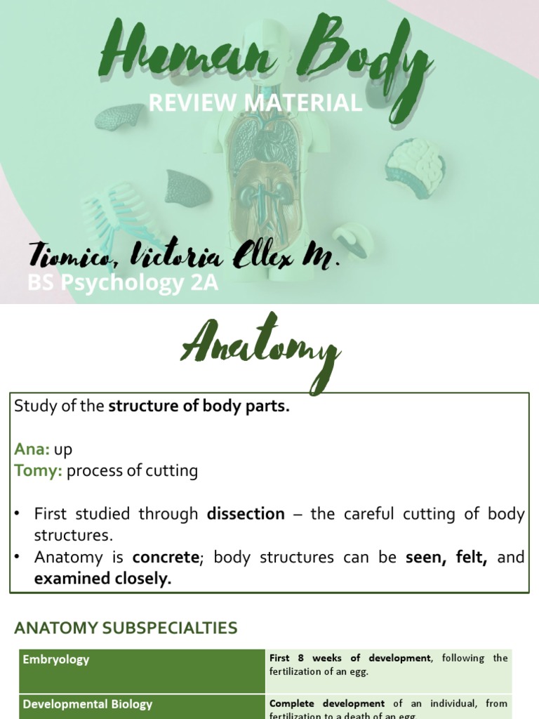 Human Body Reviewer | PDF | Human Body | Homeostasis