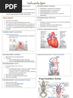Exercise 2 Organ System Overview: BSN-1C | PDF | Human Body | Lymphatic ...