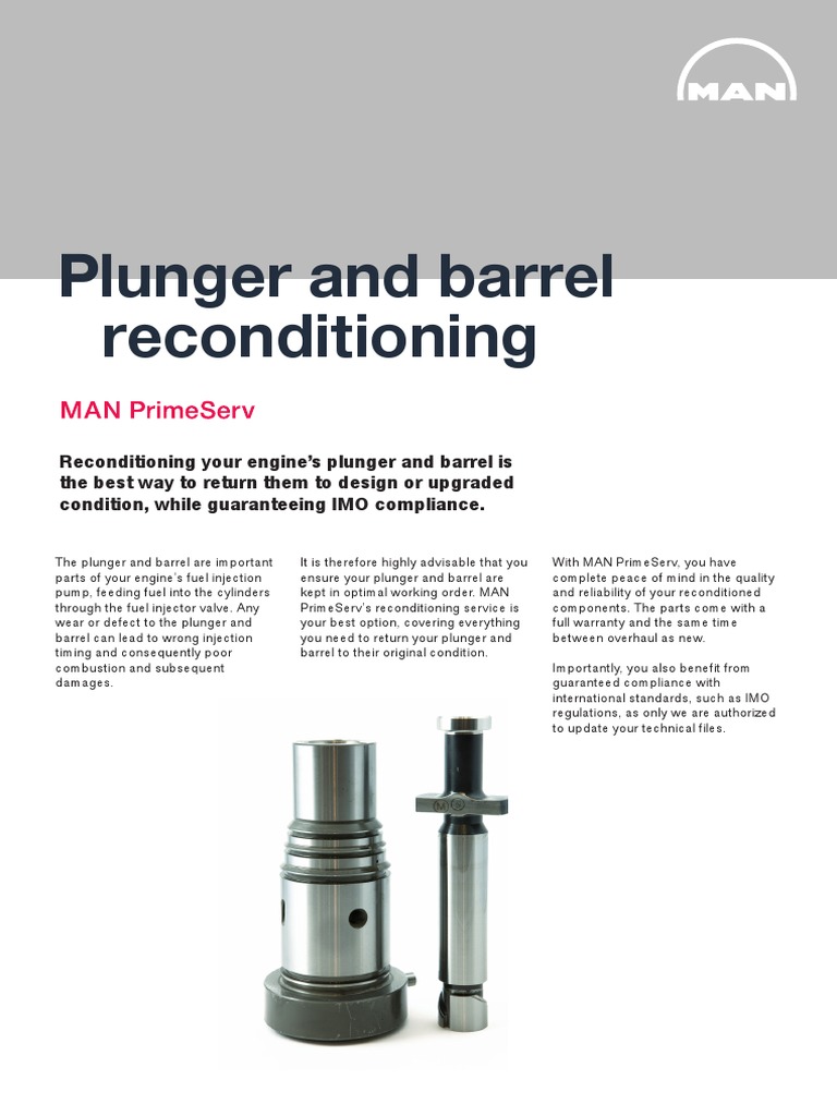 Plunger and Barrel Web | PDF | Reliability Engineering | Fuel Injection