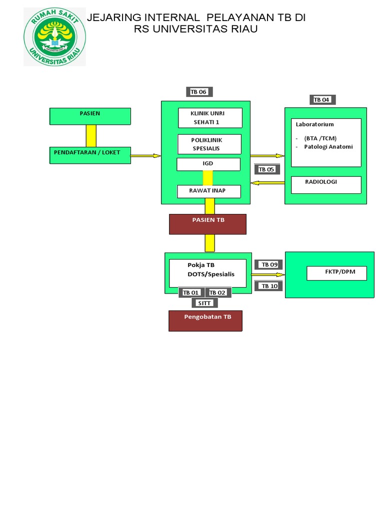Jejaring Internal & Eksternal Pelayanan TB | PDF