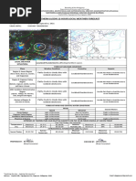 Ocular Inspection Report: Palma de Oro | PDF