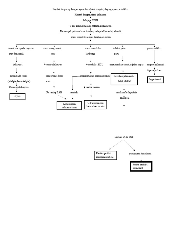 Elmiyanti Flu Burung Pathway | PDF