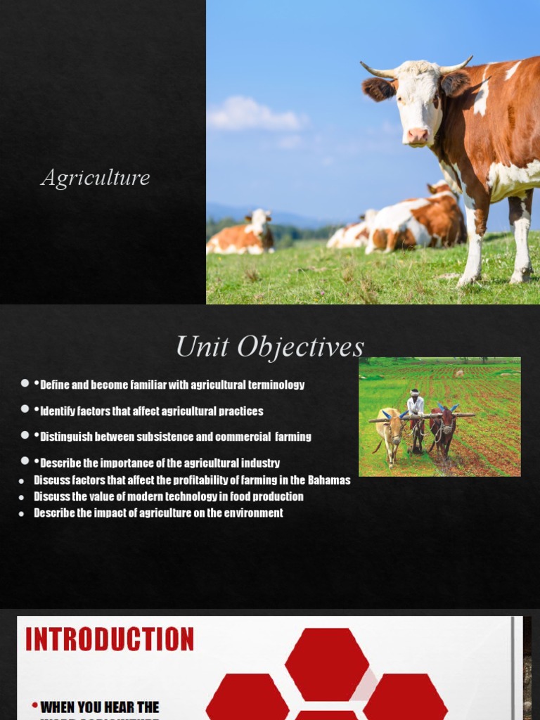 Agriculture in the Bahamas: Overview and Impact | PDF | Agriculture ...
