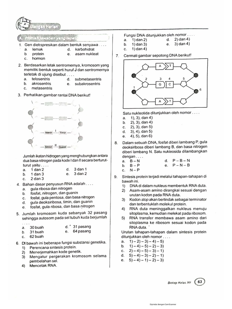 Soal Materi Genetik | PDF