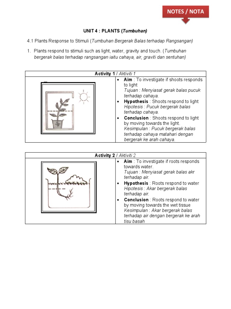 Notes / Nota: UNIT 4: PLANTS (Tumbuhan) | PDF | Plants | Botany