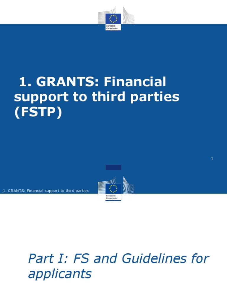 Financial Support To Third Parties Pdf Government Justice