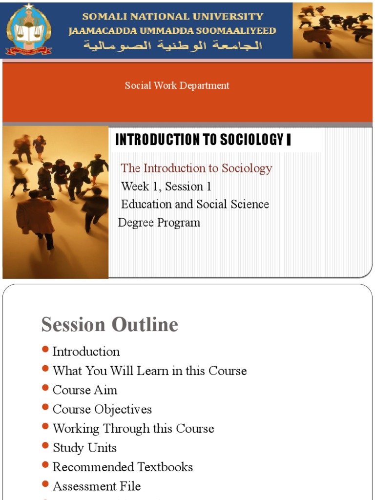 Introduction to Sociology Overview | PDF | Sociology | Social Sciences