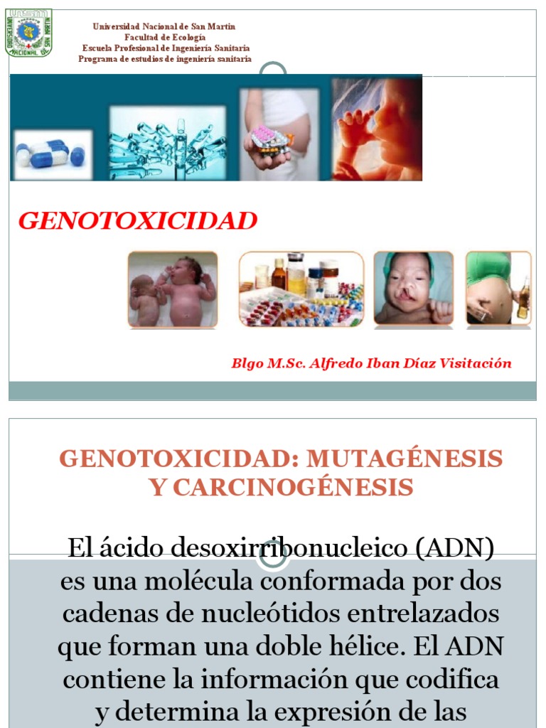 Genotoxicidad Epis | PDF | Mutación | Carcinogénesis