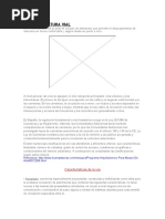 Definición de acera, calzada y berma | PDF | Peatonal | La carretera