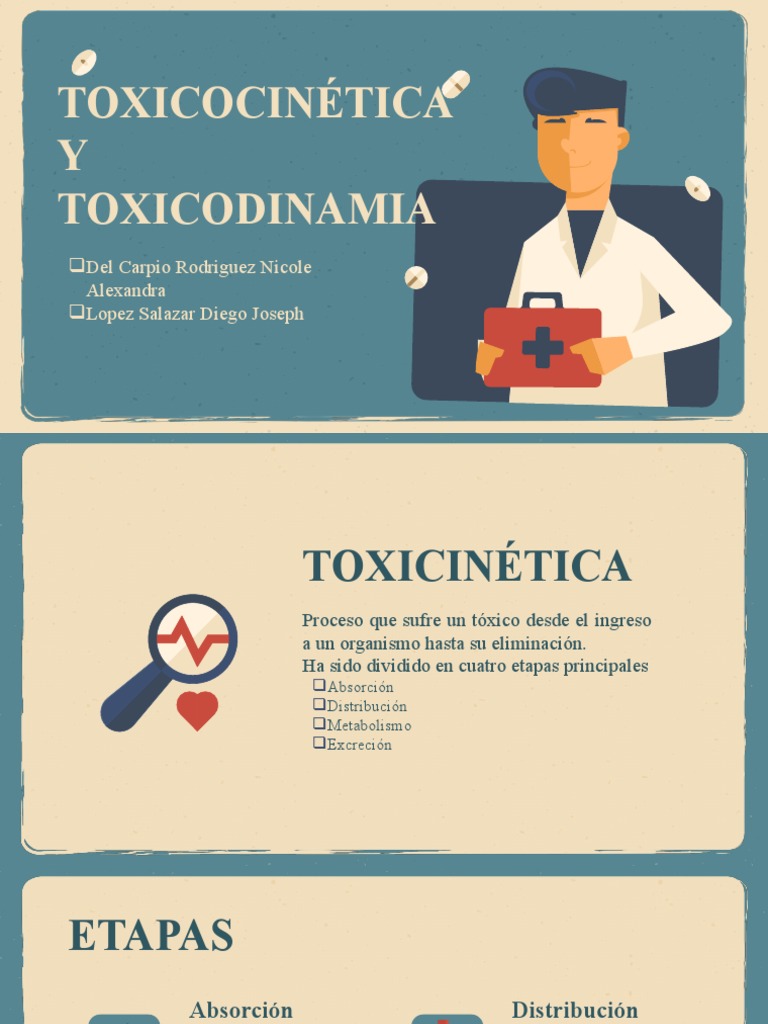 Toxicodinamica y Toxicocinetica | PDF | Toxicidad | Digestión