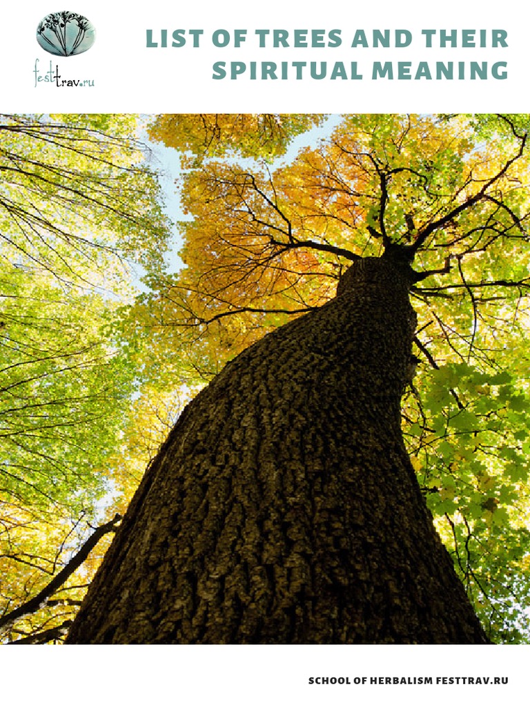 List of Trees and Their Spiritual Meaning | PDF