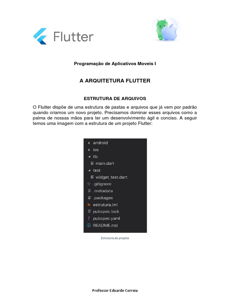 A Estrutura Padrão de Pastas e Arquivos em Projetos Flutter | PDF ...