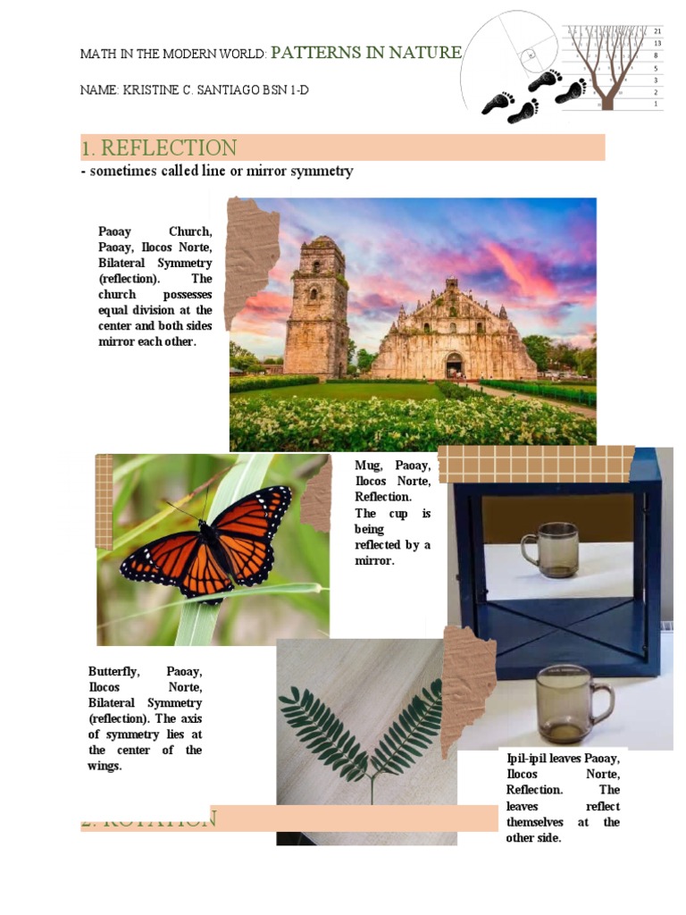 Reflection: Patterns in Nature | PDF | Geometry | Symmetry