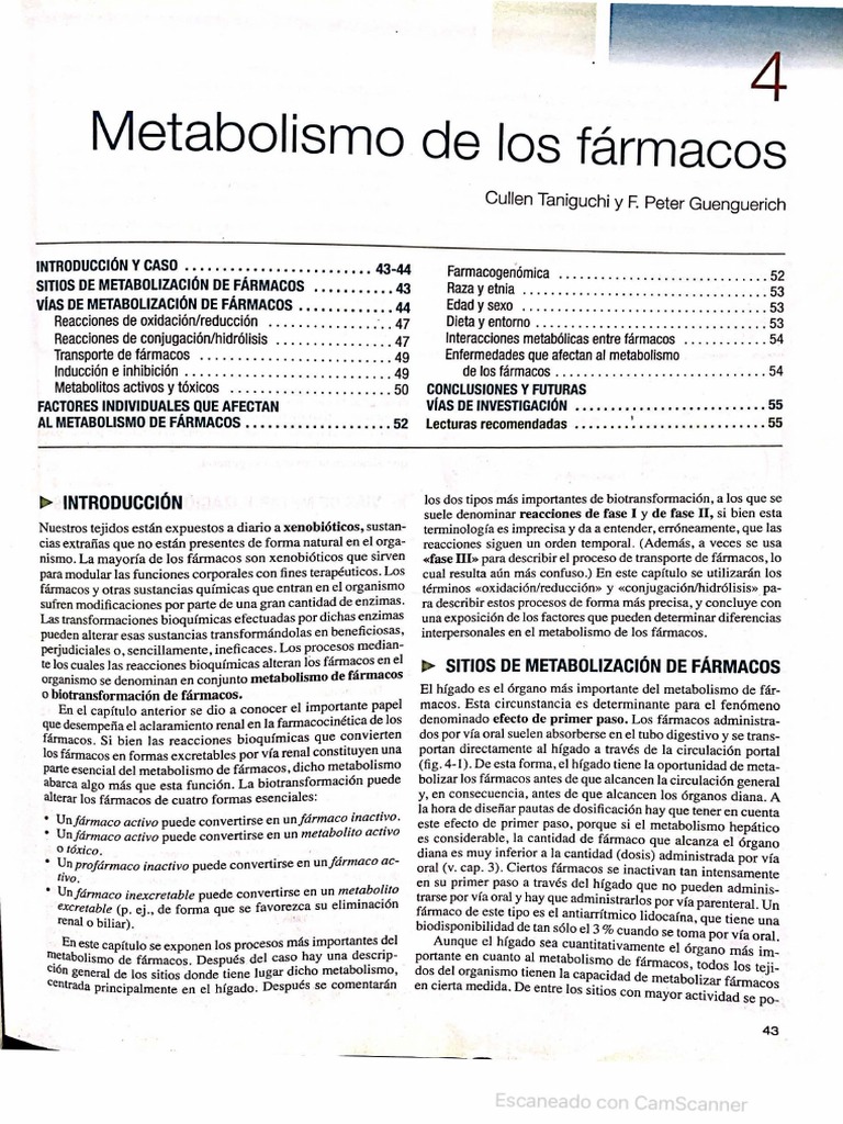 Metabolismo de Los Farmacos | PDF | Citocromo P450 | Biotransformación