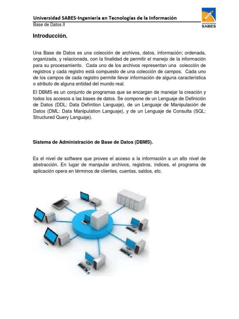 1 1 Administrador de Base de Datos (DBA) | PDF | Bases de datos | SQL