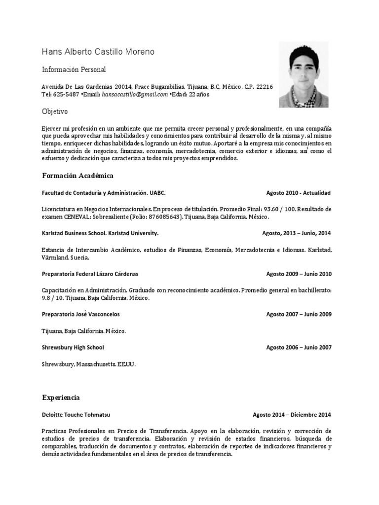 CV Hans Castillo | PDF