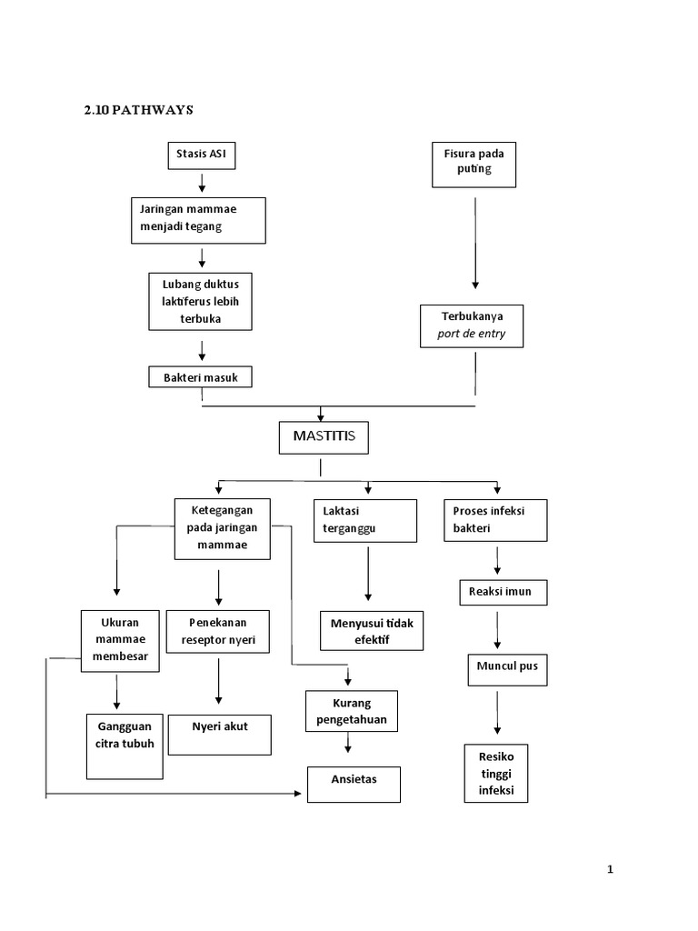 Askep Perdarahan Postpartum Dan Mastitis | PDF