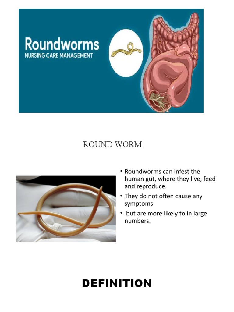 Round Worm | PDF | Diseases And Disorders | Clinical Medicine