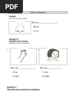 Diagnostic Test Year 1 | PDF | Tools | Writing Implements