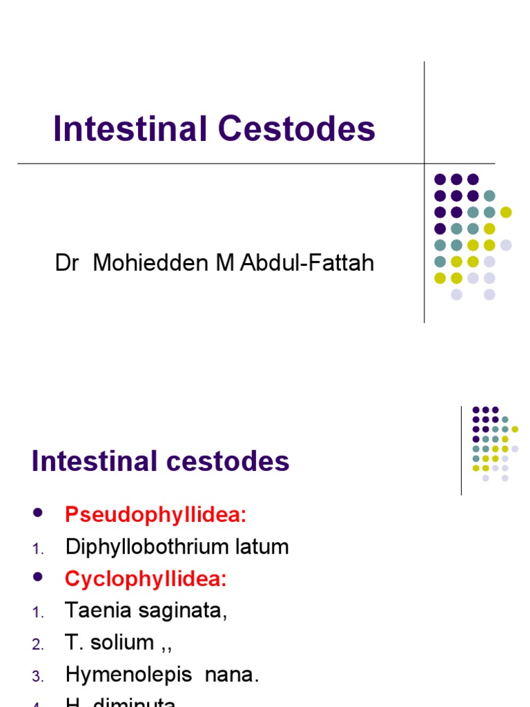 Intestinal Cestodes: DR Mohiedden M Abdul-Fattah | PDF | Diseases And ...