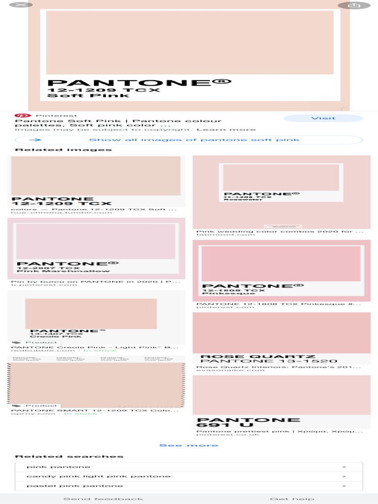 Pantone Soft Pink - Google Search | PDF | Color | Visual Perception