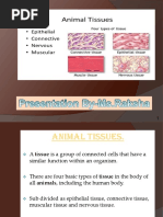 Cbse Class Ix Animal Tissue Flow Chart | PDF | Epithelium | Tissue ...