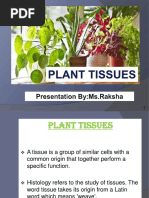 Cbse Class Ix Animal Tissue Flow Chart | PDF | Epithelium | Tissue ...
