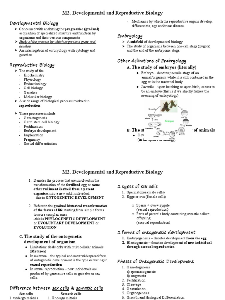 Developmental and Reproductive Biology | PDF | Developmental Biology ...