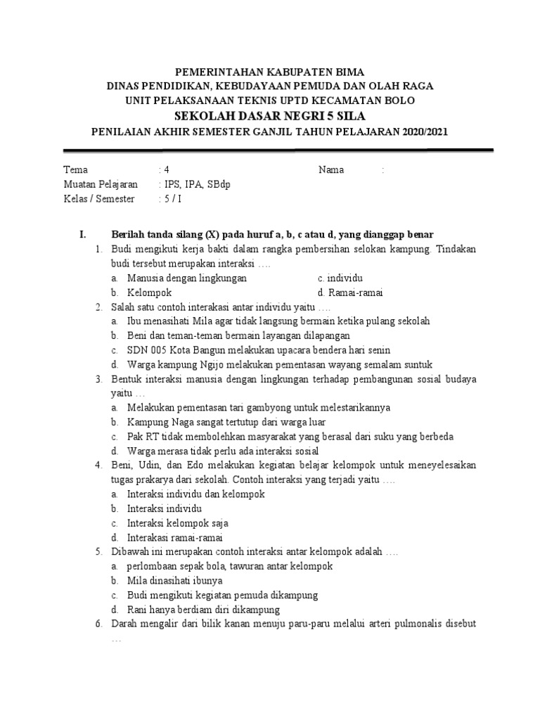 PAS Tema 4 IPS, IPA, SBDP | PDF