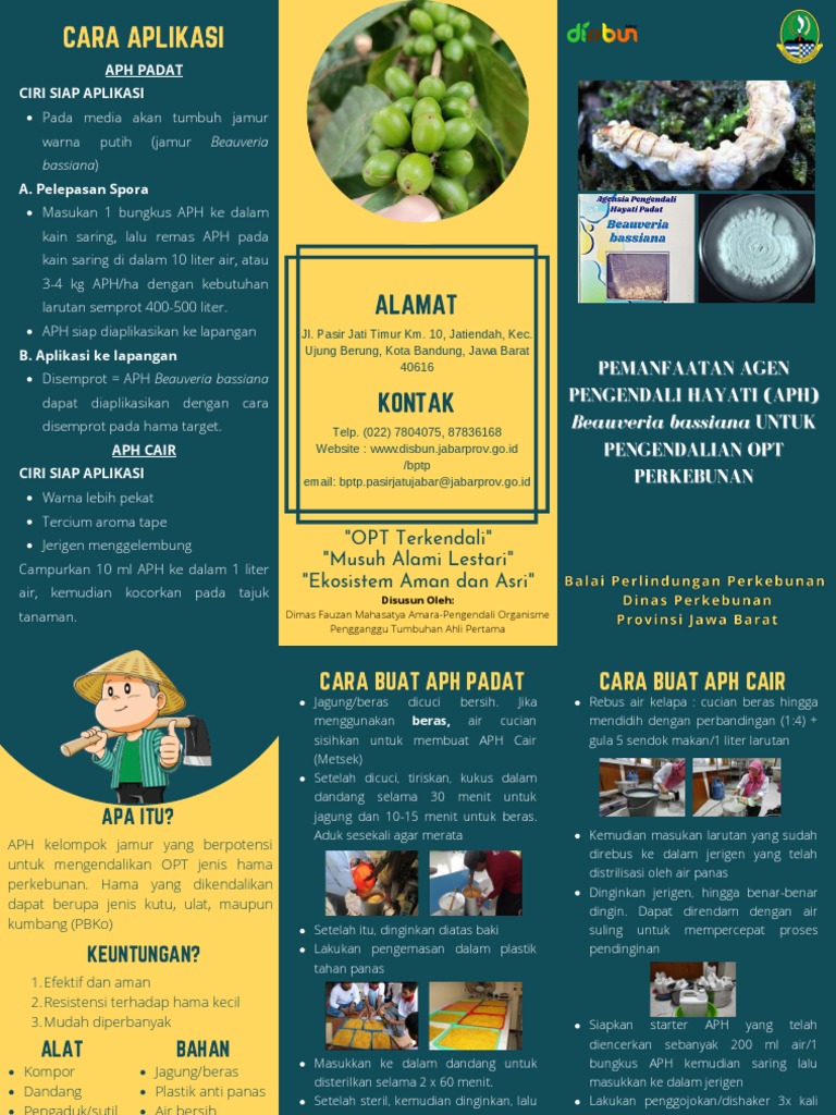 Pemanfaatan Agen Pengendali Hayati (APH) Beauveria Bassiana Untuk Pengendalian OPT Perkebunan | PDF