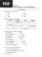 Temas de HySat Medallia | PDF