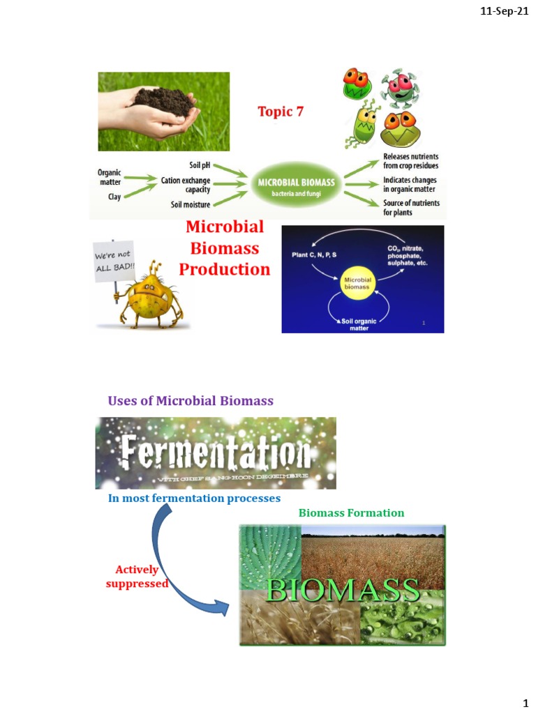 Microbial Biomass Production | PDF | Fermentation | Adenosine Triphosphate