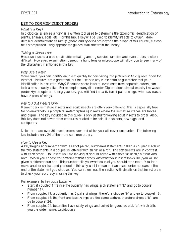 Insect Orders Identification Key | PDF | Fly | Beetle
