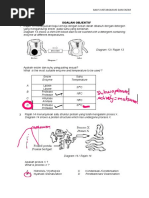 Senarai Formula Fizik SPM | PDF