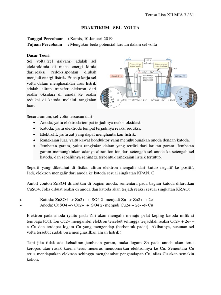 Laporan Praktikum Sel Volta Zn-Cu | PDF