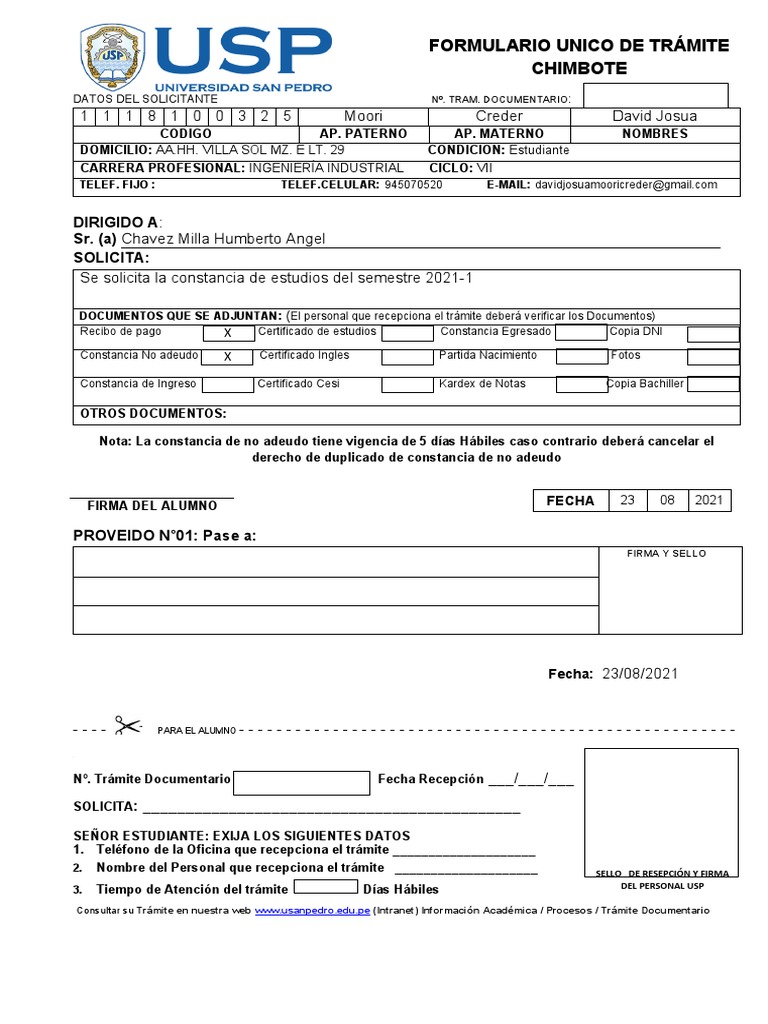 Formato de Solicitud | PDF | Gobierno y personalidad